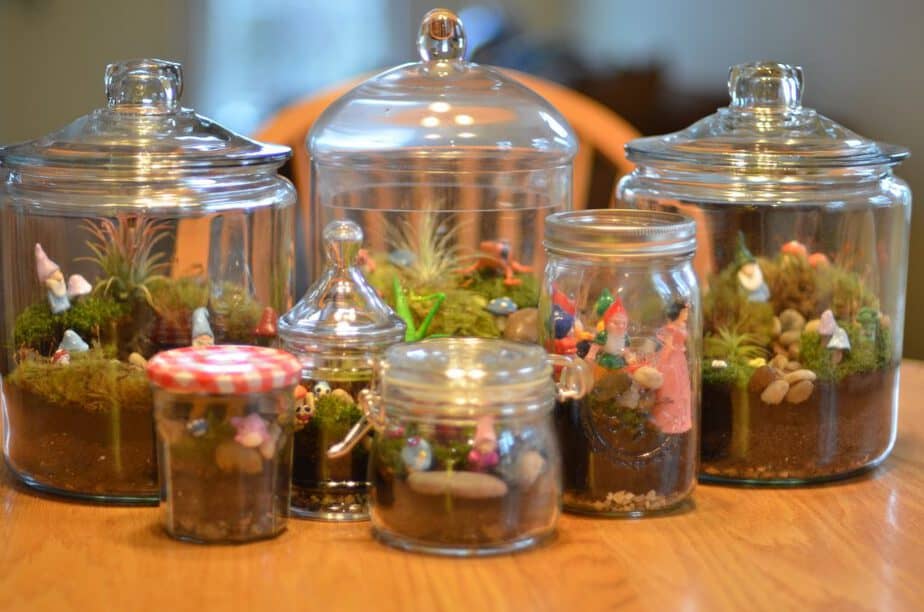 Terrarium Craft - This Mama Loves