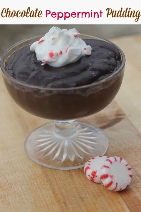 Chocolate Peppermint Pudding - This Mama Loves