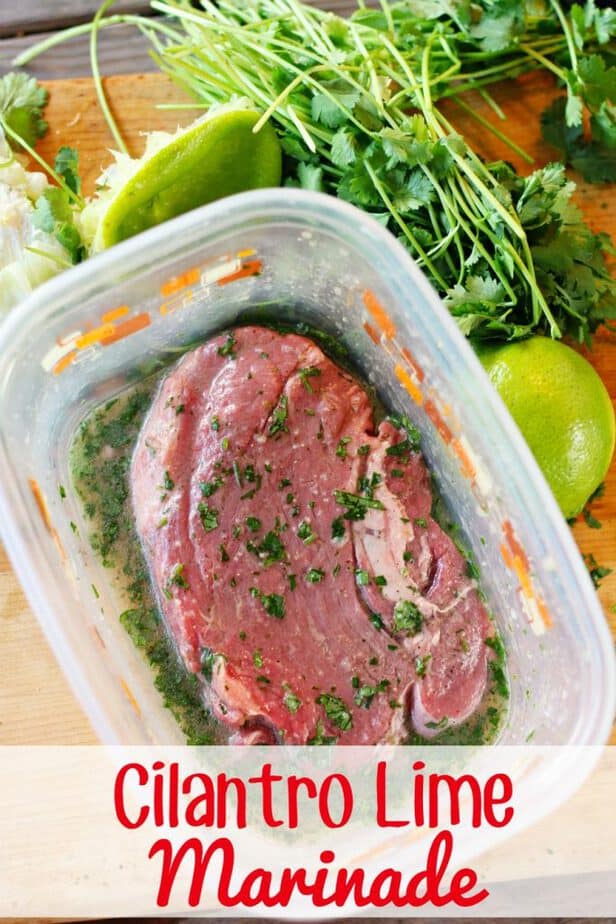 Cilantro Lime Marinade Recipe - This Mama Loves