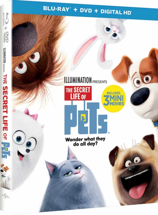 The Secret Life of Pets available for home viewing 11/22 - This Mama Loves