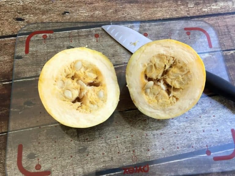 Instant Pot Squash Recipe: Thanksgiving Side Dish Recipe - This Mama Loves