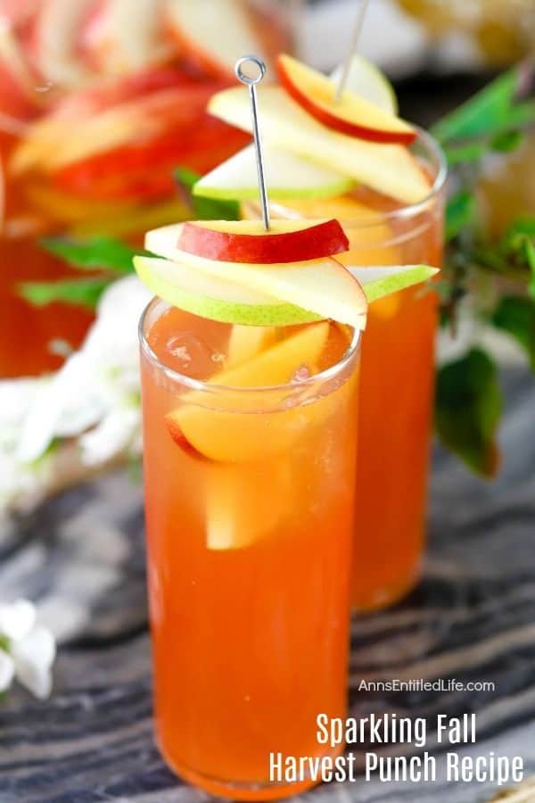Fun Fall Drink Recipes - This Mama Loves