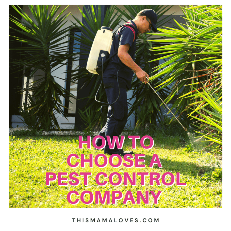 Top 7 Tips for Selecting the Right Pest Control Company - This Mama Loves